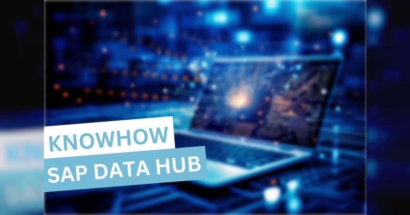 SAP Data Hub | Funktionsweise, Features & Vorteile